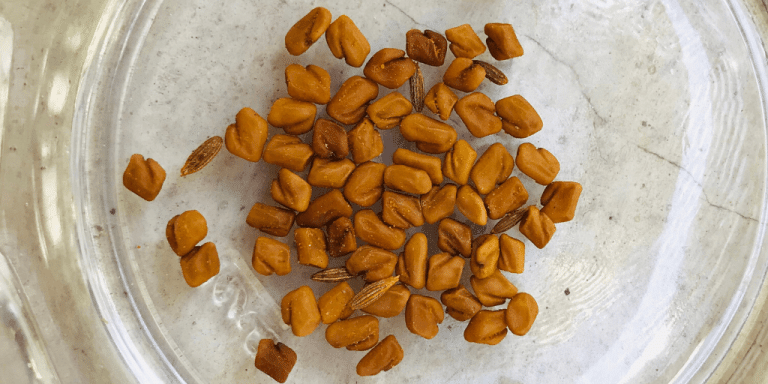 Fenugreek Seeds / मेंथी: Benefits and Side Effects - Tasted Recipes